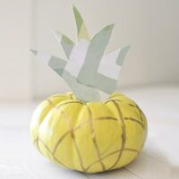 Frenchie, the French Bull Dog Skeleton - Delineate Your Dwelling