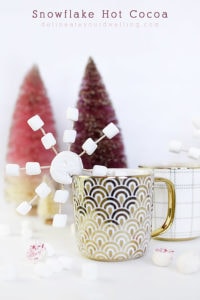 Snowflake Hot Cocoa - Delineate Your Dwelling