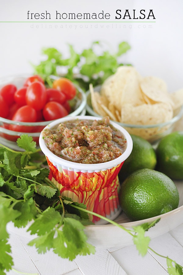 10+ Mouthwatering Summer Salsa Recipes - Delineate Your Dwelling