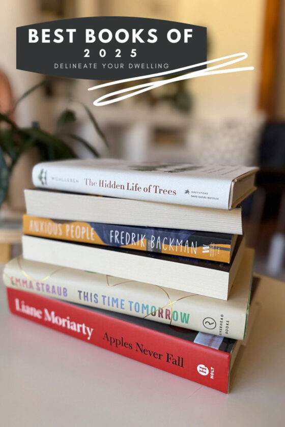 Best Fiction Books to read of 2025 - Delineate Your Dwelling