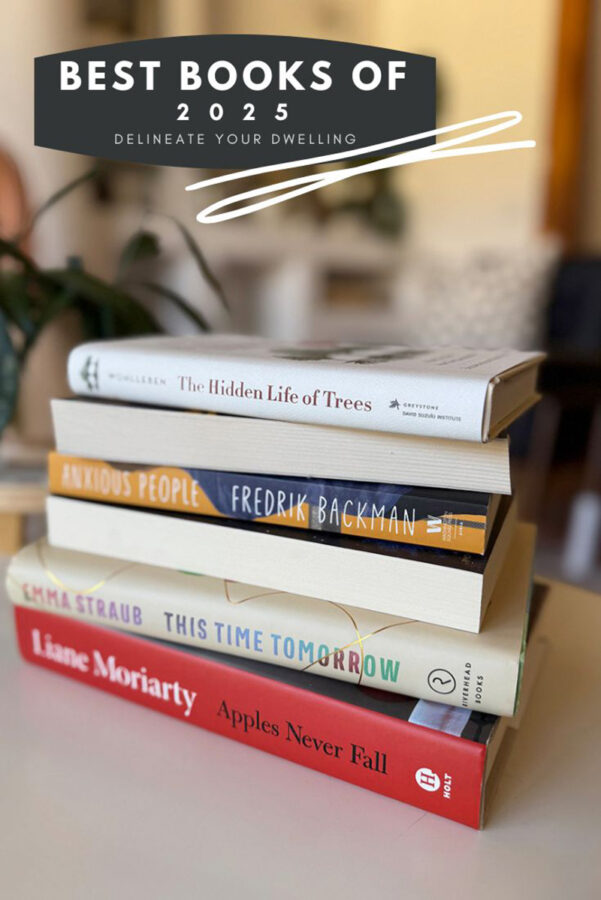 Best Fiction Books to read of 2025 - Delineate Your Dwelling