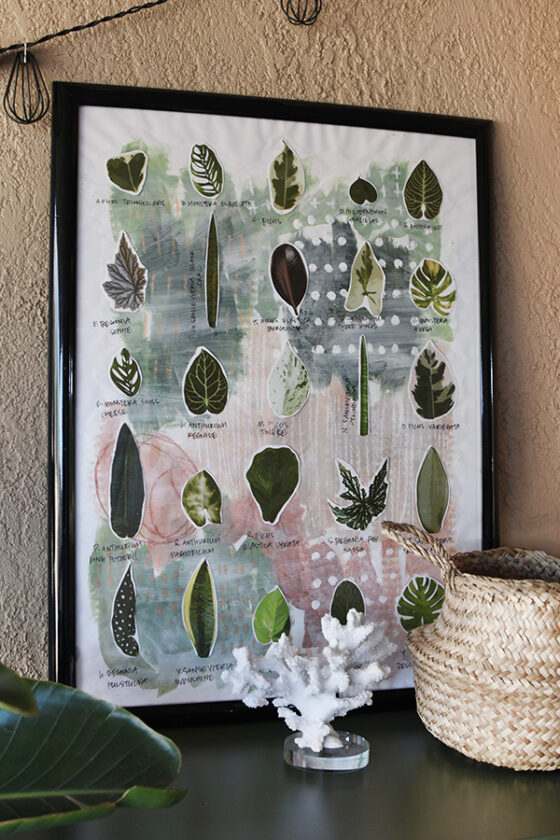 DIY Modern Botanical Print - Delineate Your Dwelling