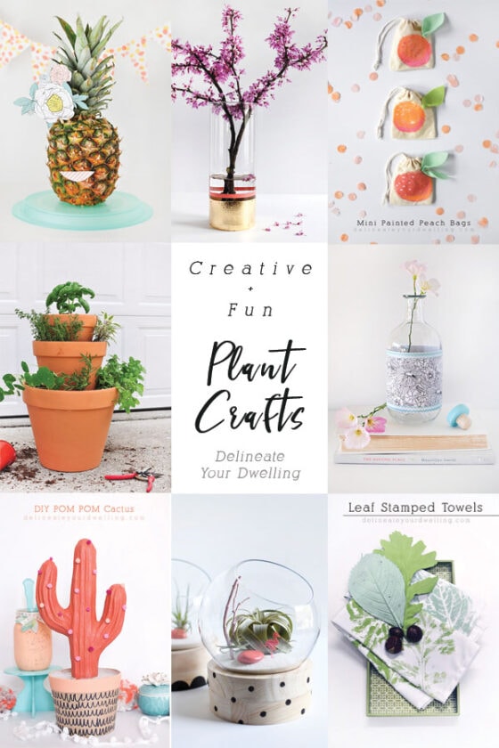 Plants Crafts - Delineate Your Dwelling