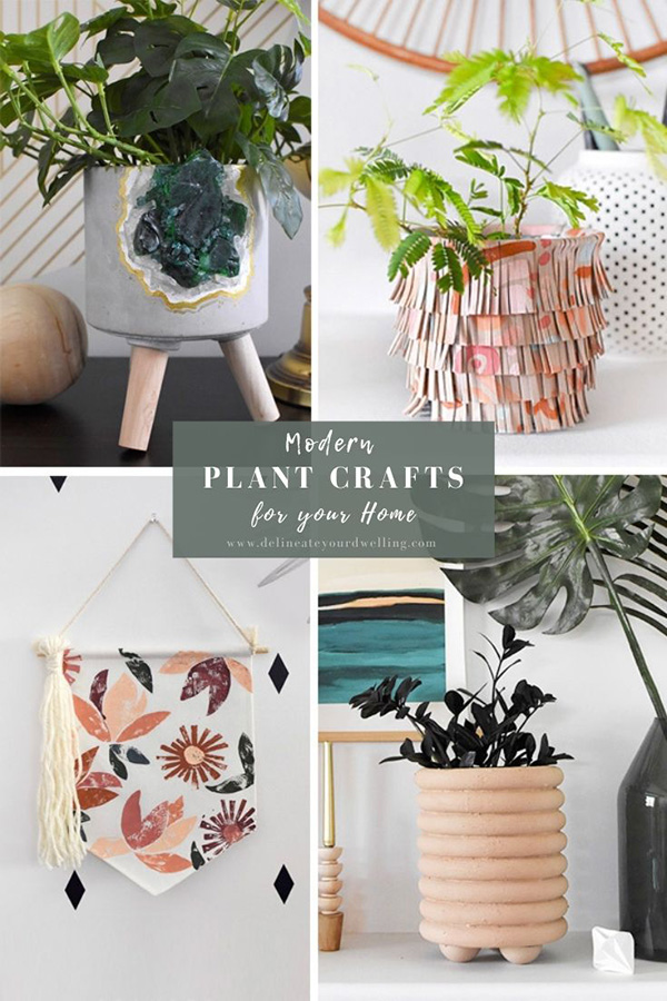 Plants Crafts - Delineate Your Dwelling
