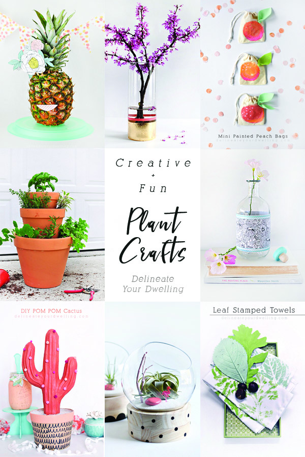 Plants Crafts - Delineate Your Dwelling
