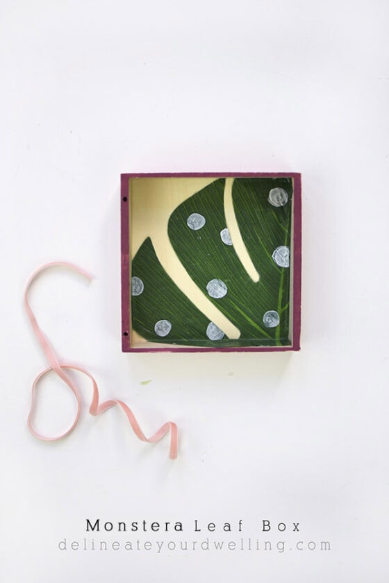DIY Monstera Leaf Shadowbox - Delineate Your Dwelling