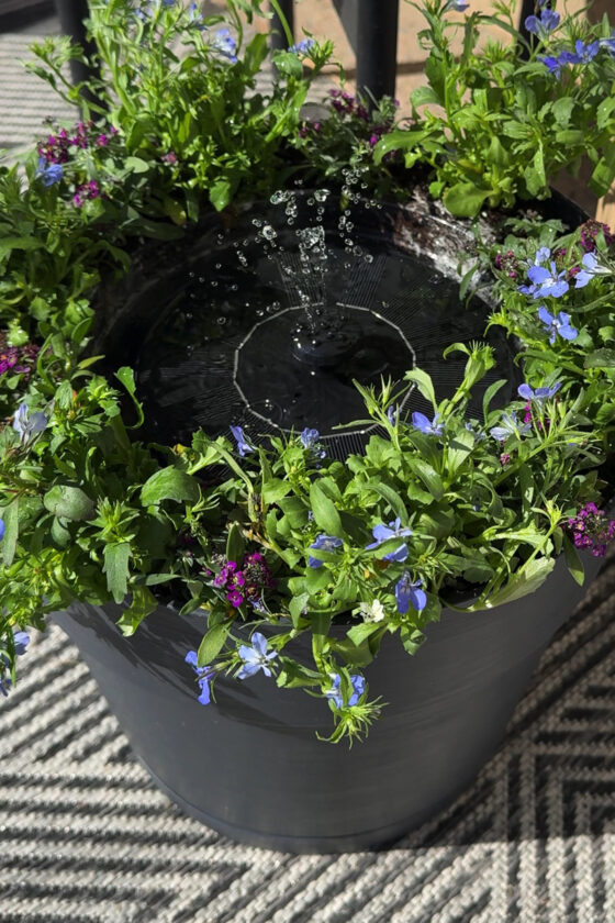 DIY Solar Water Fountain - Delineate Your Dwelling