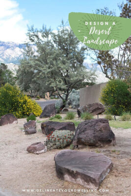 Create a Desert Landscape Plan on a Budget - Delineate Your Dwelling