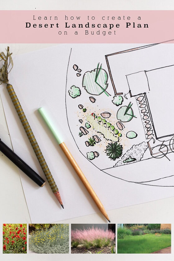 Create a Desert Landscape Plan on a Budget - Delineate Your Dwelling