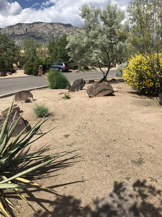 Create a Desert Landscape Plan on a Budget - Delineate Your Dwelling