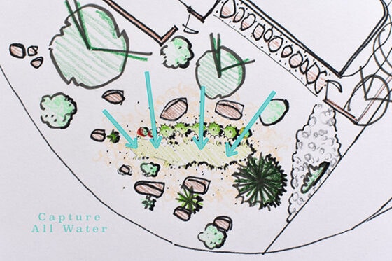 Create a Desert Landscape Plan on a Budget - Delineate Your Dwelling