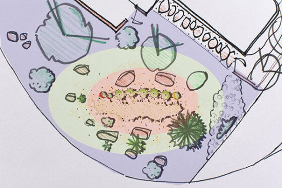 Create a Desert Landscape Plan on a Budget - Delineate Your Dwelling
