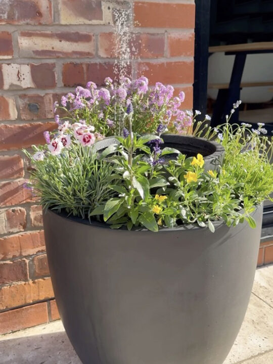 DIY Solar Water Fountain - Delineate Your Dwelling