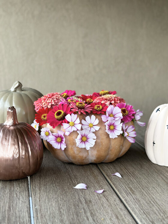Create a Garden Flower Pumpkin - Delineate Your Dwelling
