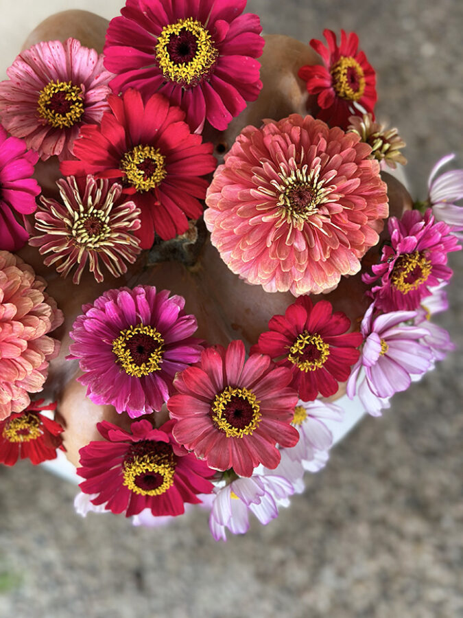 Create a Garden Flower Pumpkin - Delineate Your Dwelling