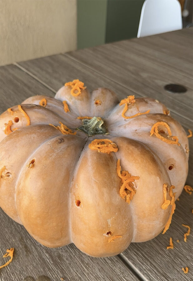 Create a Garden Flower Pumpkin - Delineate Your Dwelling