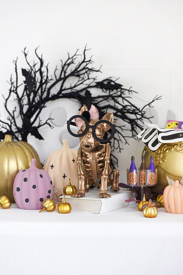 Frenchie, the French Bull Dog Skeleton - Delineate Your Dwelling