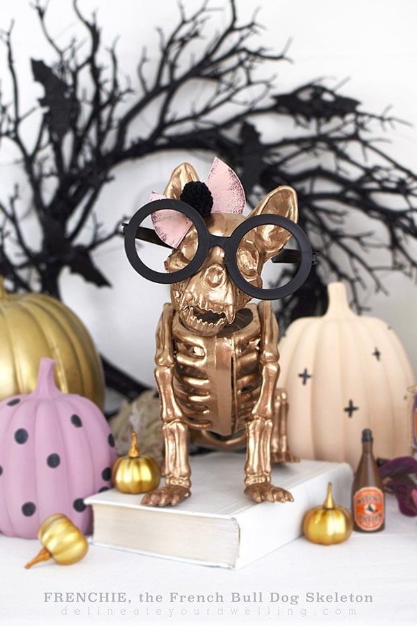 Frenchie, the French Bull Dog Skeleton - Delineate Your Dwelling