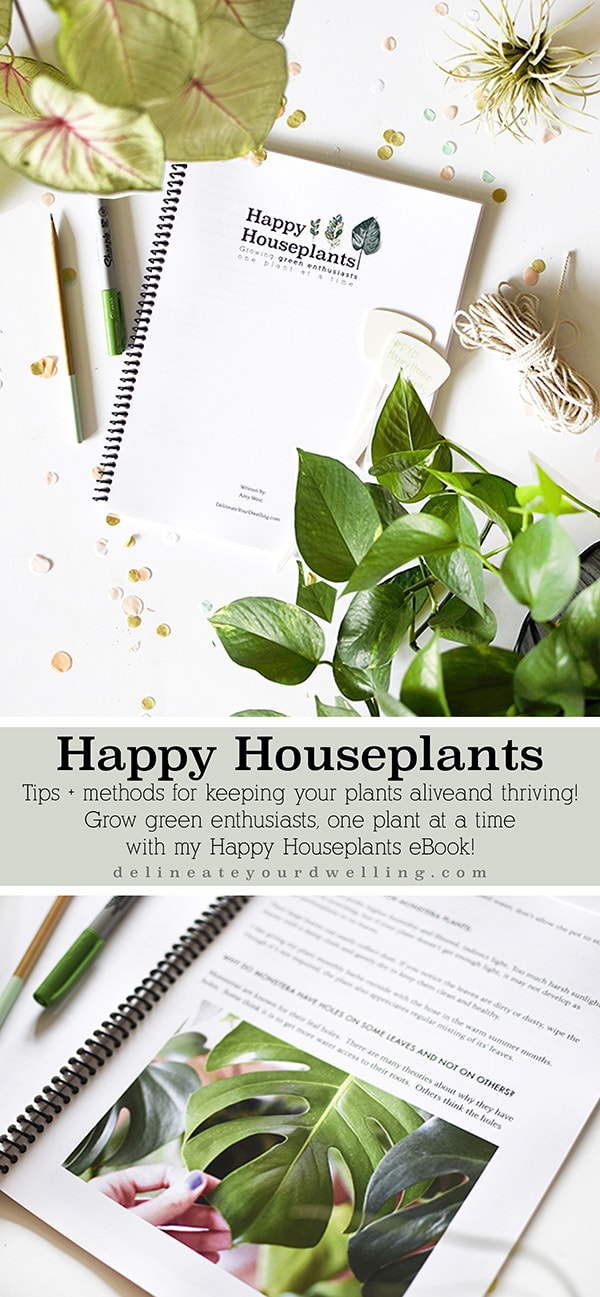 Happy Houseplants ebook LAUNCH - Delineate Your Dwelling