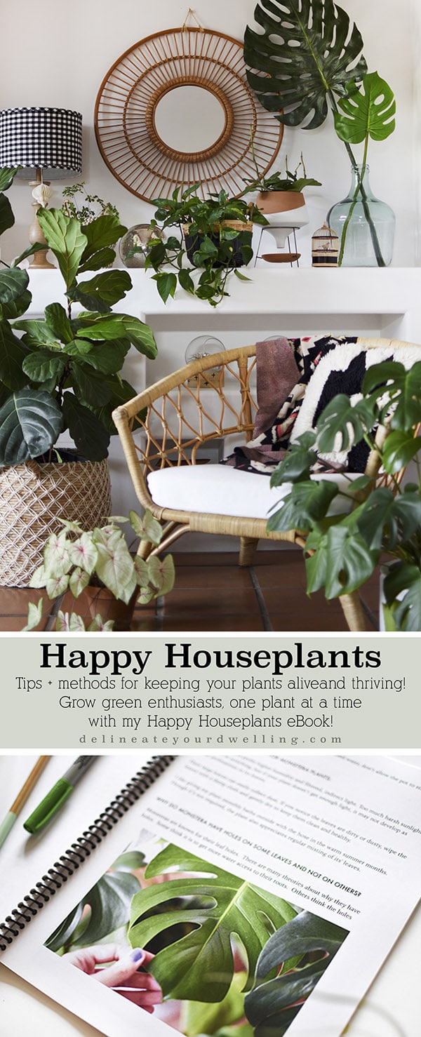 Happy Houseplants eBook - Delineate Your Dwelling