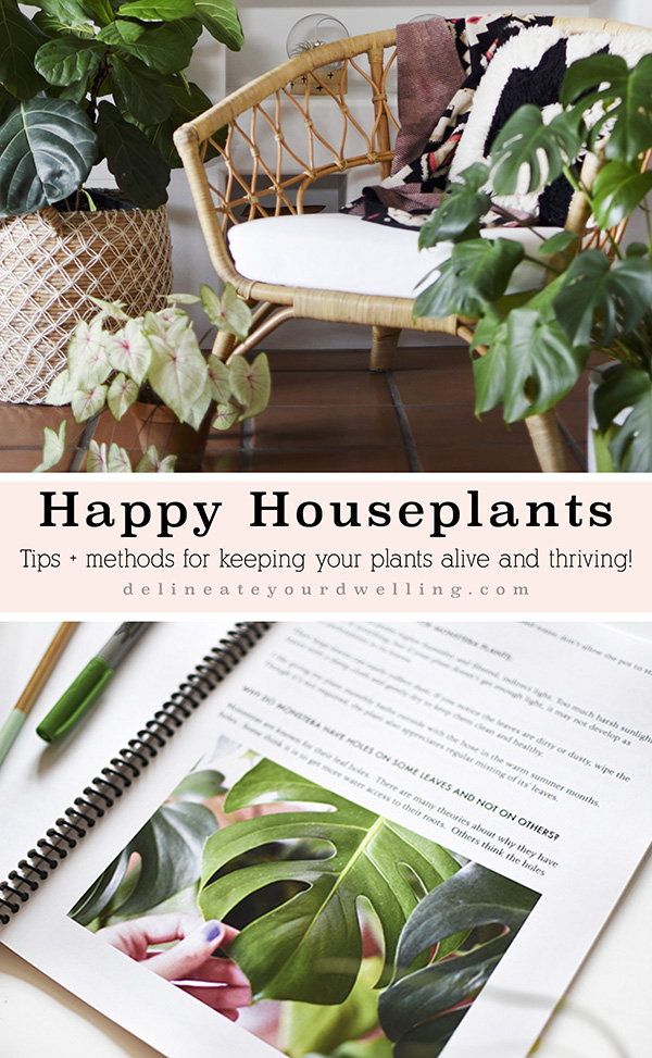 Happy Houseplants eBook - Delineate Your Dwelling