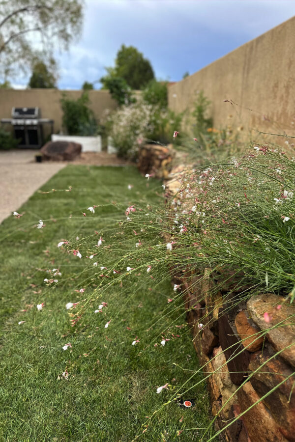 How to Install Sod - Delineate Your Dwelling