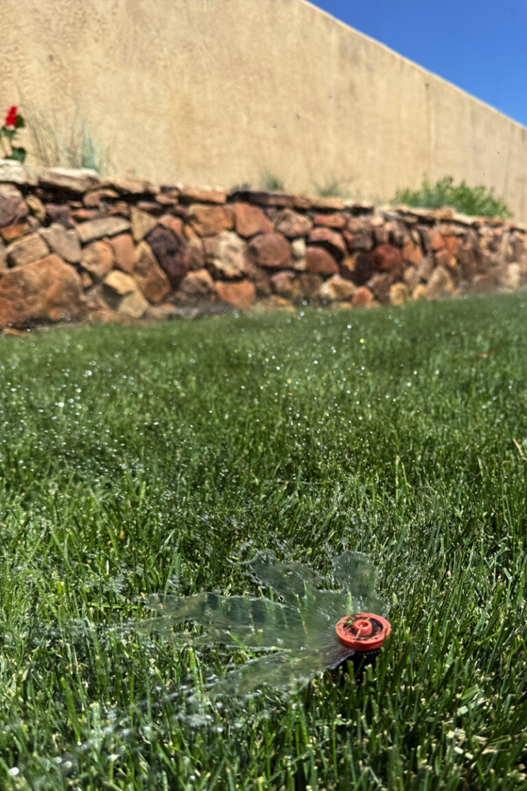 How to Install Sod - Delineate Your Dwelling