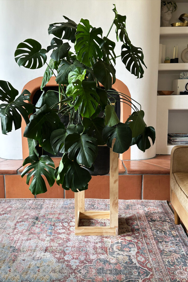 Large Plant DIY Stand - Delineate Your Dwelling