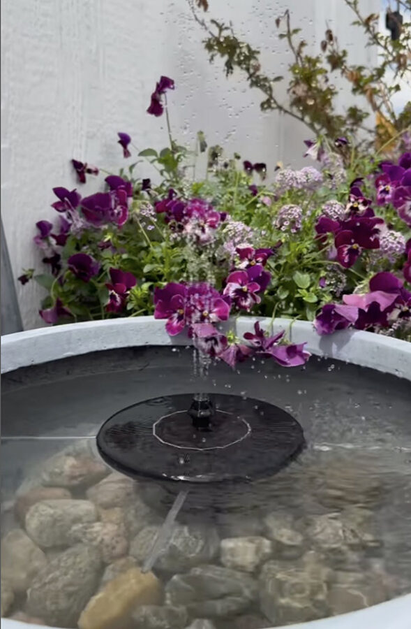 DIY Solar Water Fountain - Delineate Your Dwelling