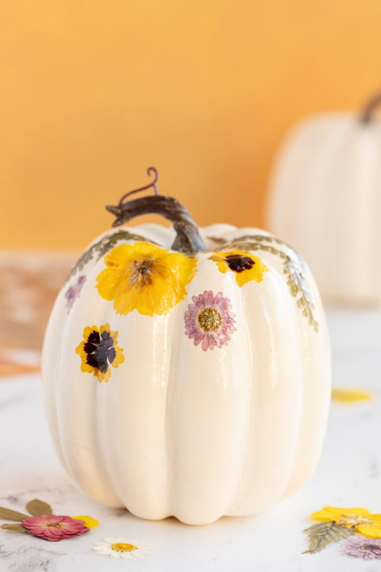 The Best Floral Pumpkin Ideas - Delineate Your Dwelling