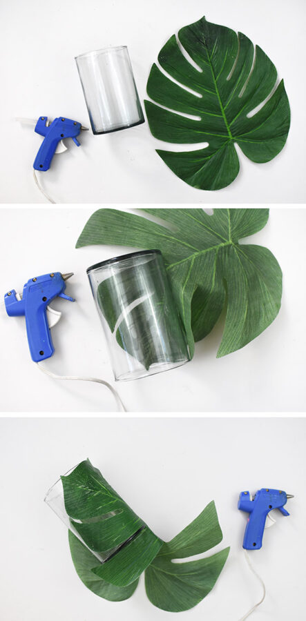 How to Wrap and Gift Plants + Printable Tags - Delineate Your Dwelling