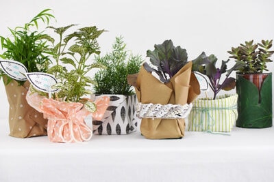 How to Wrap and Gift Plants + Printable Tags - Delineate Your Dwelling