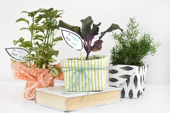 How to Wrap and Gift Plants + Printable Tags - Delineate Your Dwelling