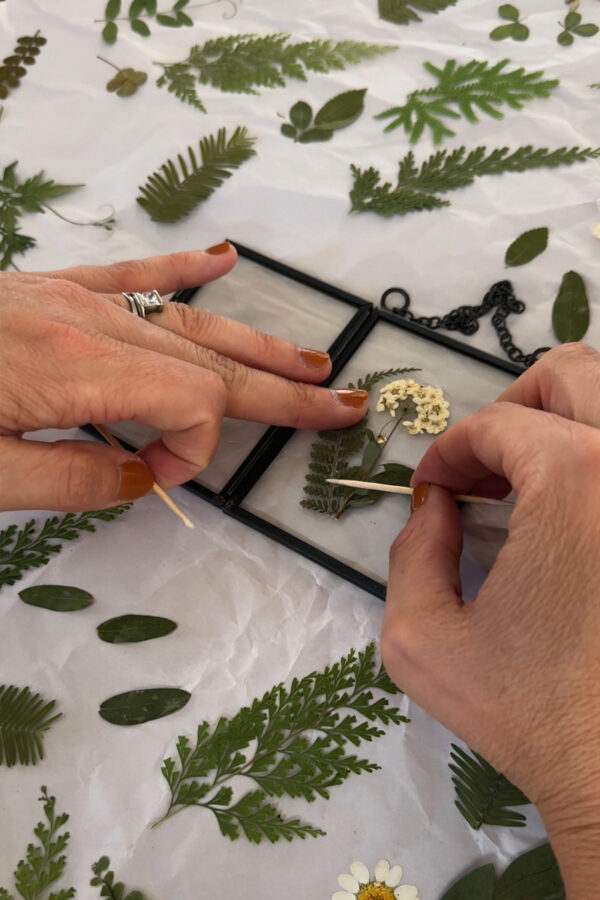 Pressed Leaf Frames - Delineate Your Dwelling