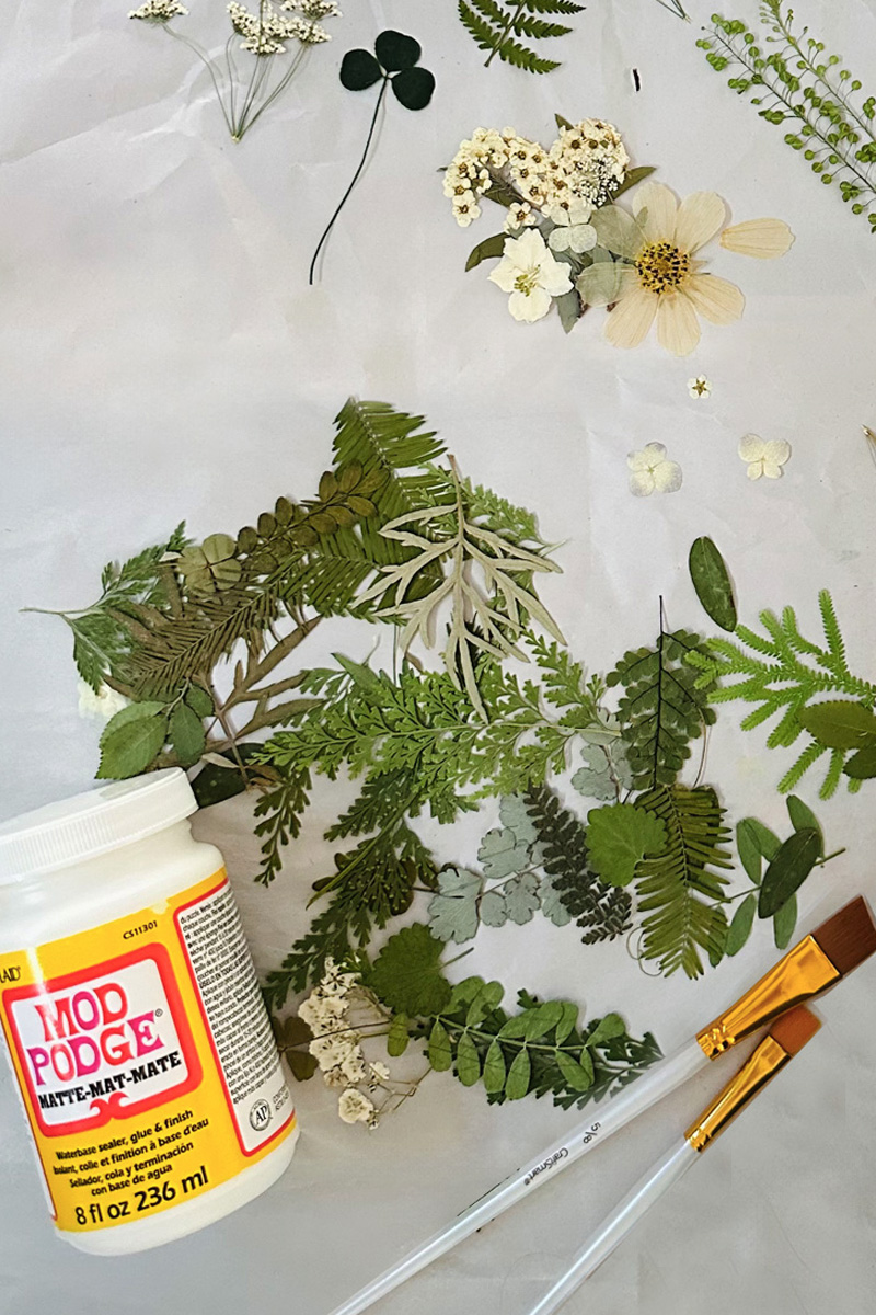 Pressed Leaf Frames - Delineate Your Dwelling