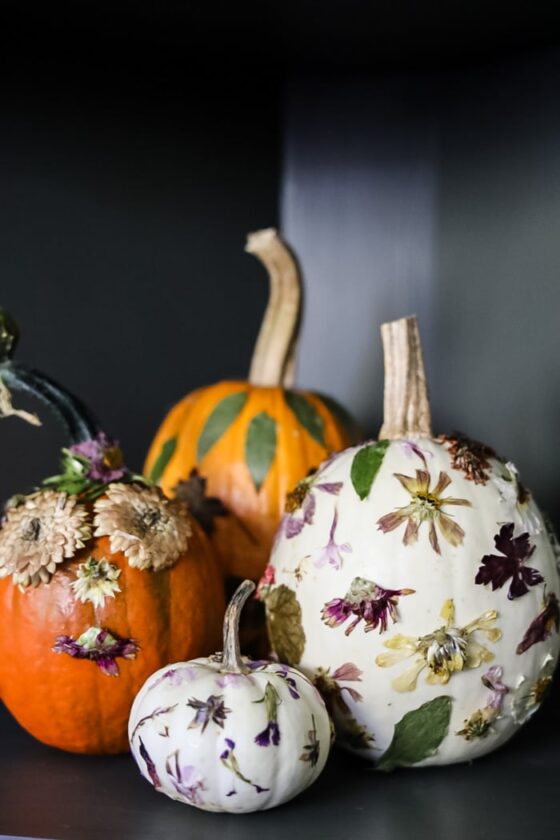 The Best Floral Pumpkin Ideas - Delineate Your Dwelling