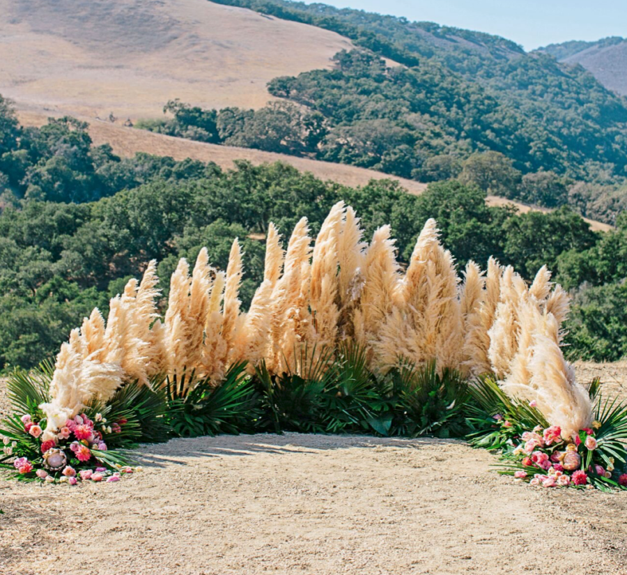 17 Creative ways to Decorate with Pampas Grass - Delineate Your Dwelling