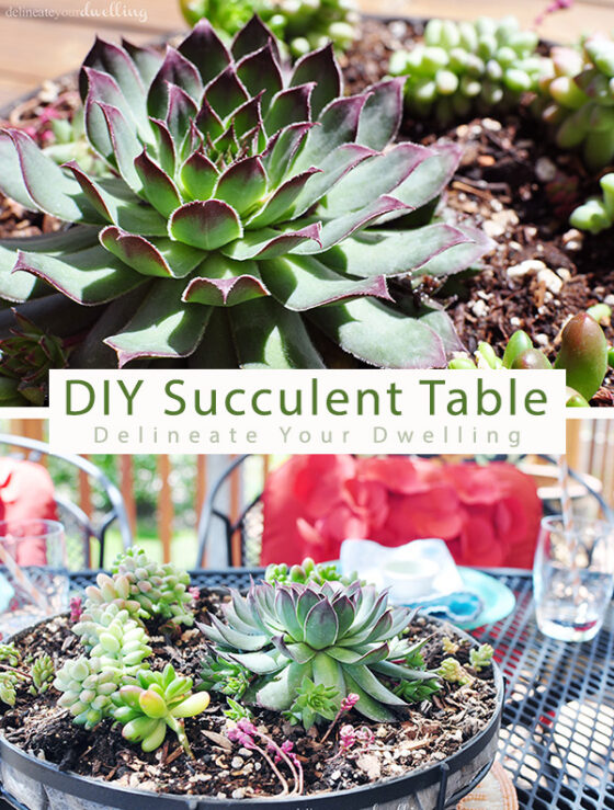 Succulent Table