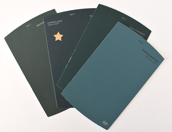 Behr Thermal Green S440-7 Interior Paint - Delineate Your Dwelling