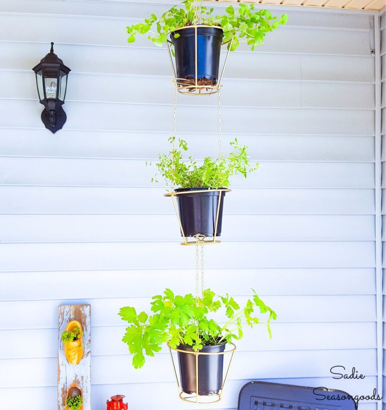 Creative Herb Garden Ideas - Delineate Your Dwelling