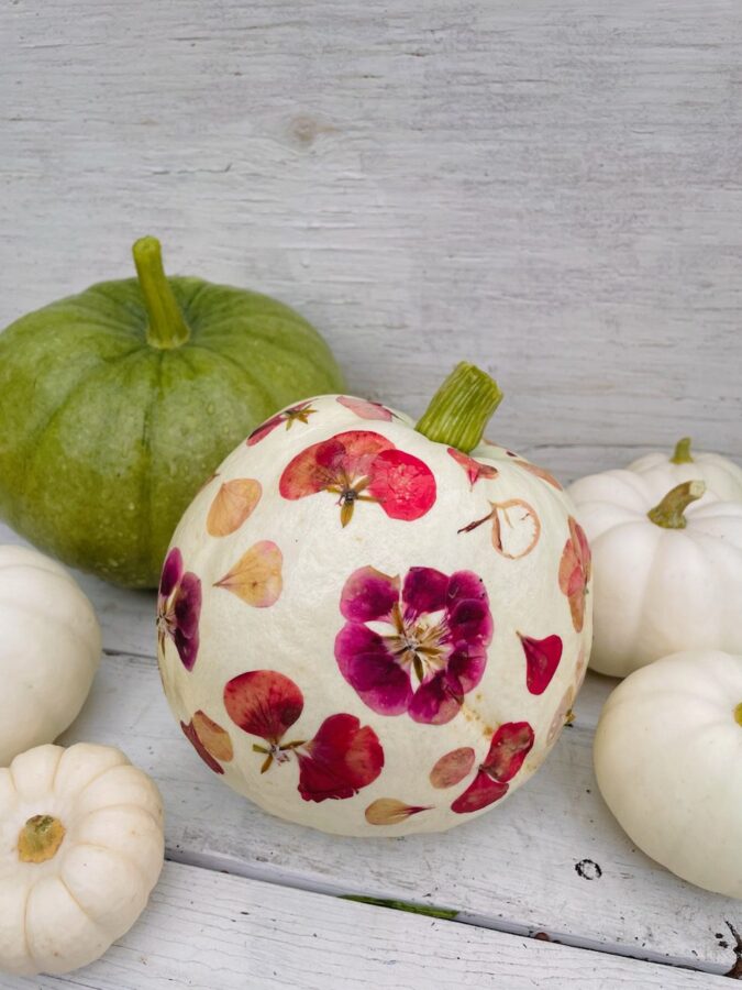 The Best Floral Pumpkin Ideas - Delineate Your Dwelling